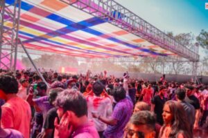 Pune Color Festival 8.0